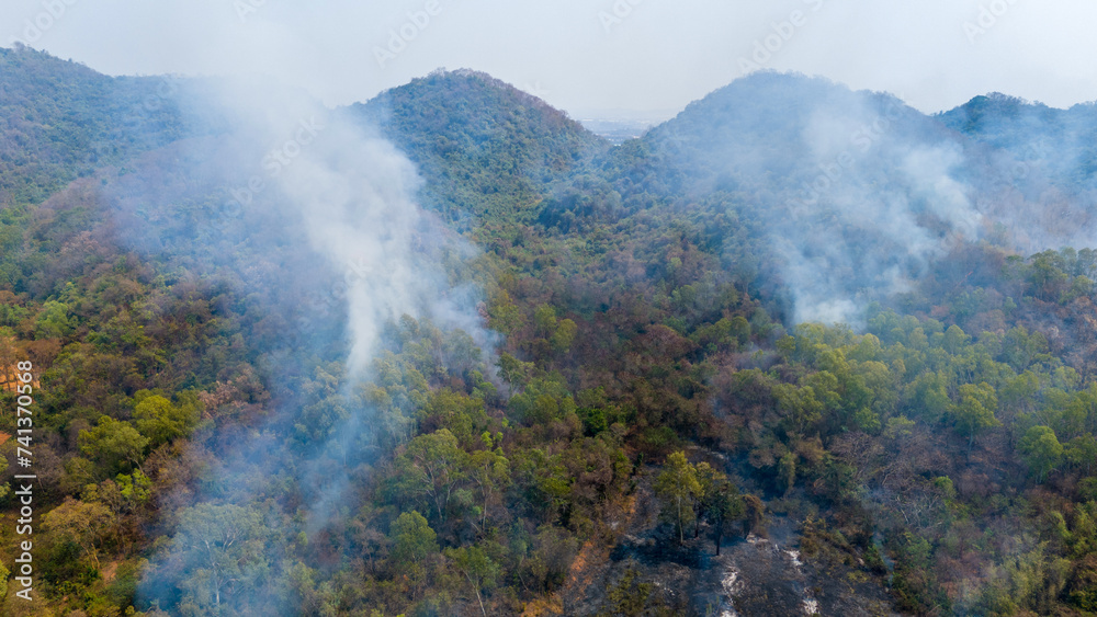 Wildfires or forest fire burning with a lot of smoke with Particulate ...