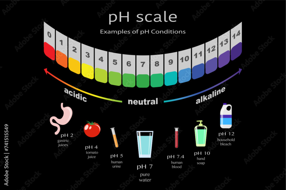 scale of ph value for acid and alkaline solutions, infographic acid ...