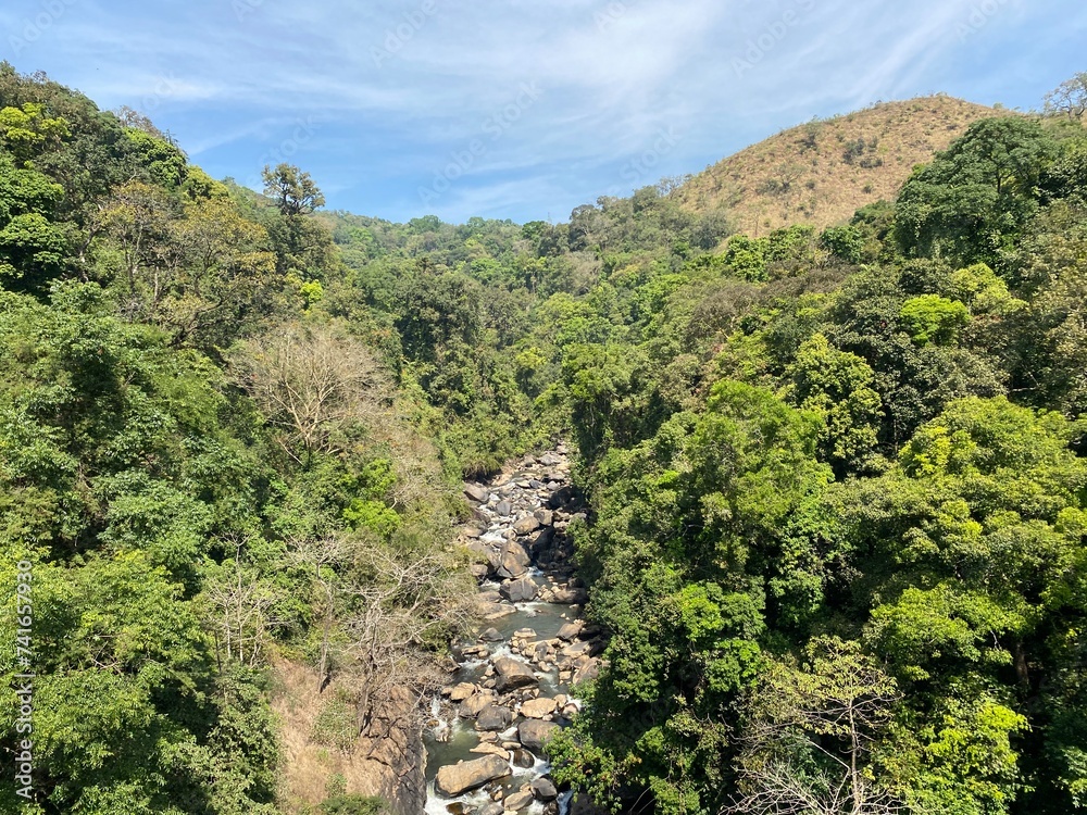 A hill stream running through a green forest in the mountains around ...