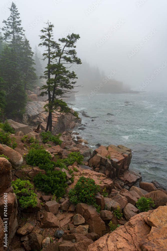 Thunder Hole, Acadia National Park, Maine. Foggy, rainy natural rock ...