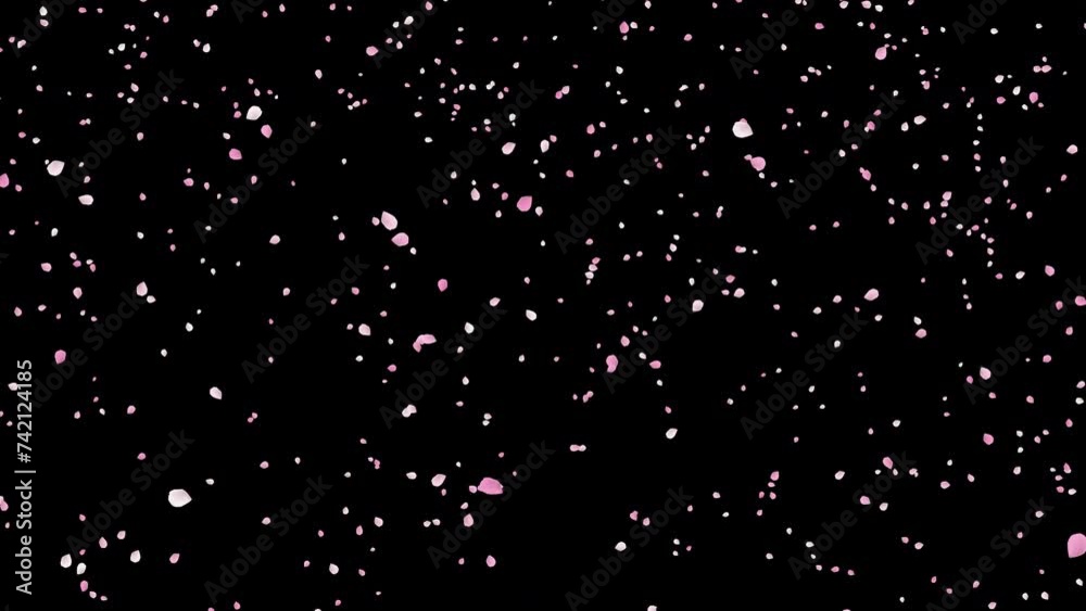 Sakura Petals. Cherry Blossom Overlays. Sakura petals falling with ...