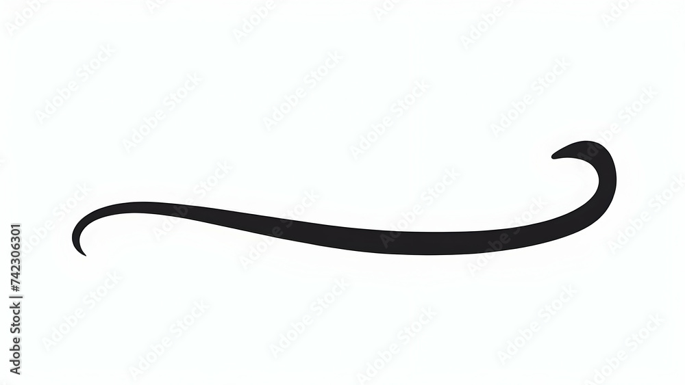 Swoosh and swoops underline typography tail shape. Brush drawn thick ...