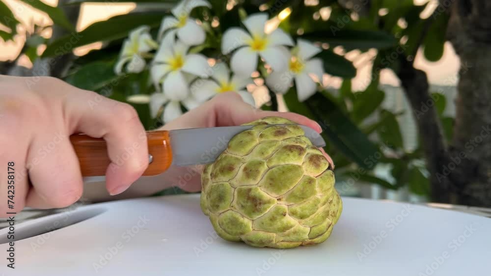 noina underneath the segmented green peel is a white and sweet filling ...