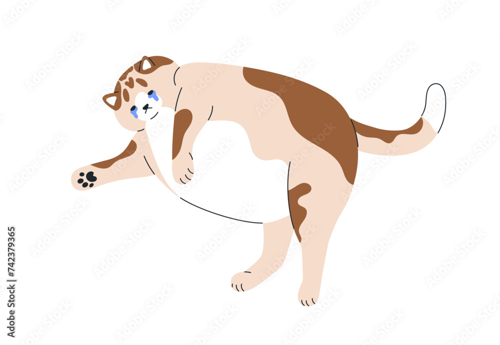 Sad fat cat lying and crying. Upset depressed chunky fatty kitty in ...