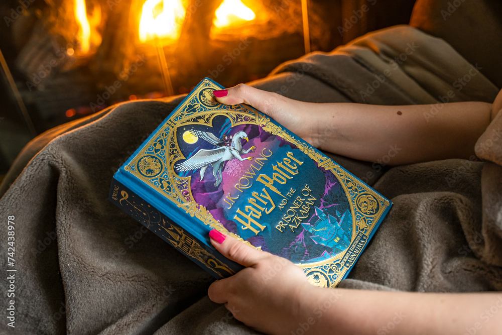 Teenage girl reading a Harry Potter book near the fireplace. New books ...