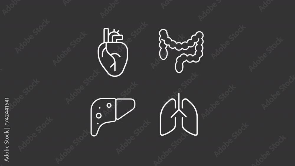 Animated internal organs white icons. Body parts line animation library ...