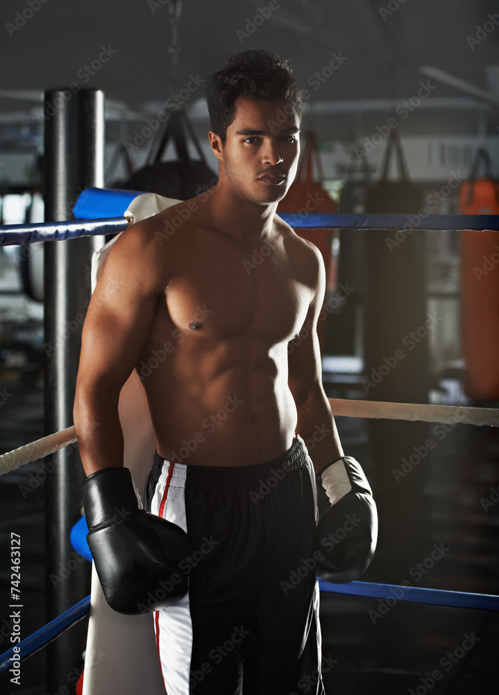 Male boxing athlete, gym and portrait for fitness, exercise and ...