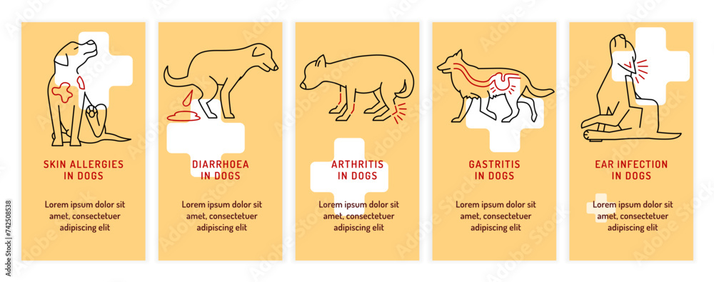Top 5 conditions in dogs. Common diseases in adult animals. Stock ...