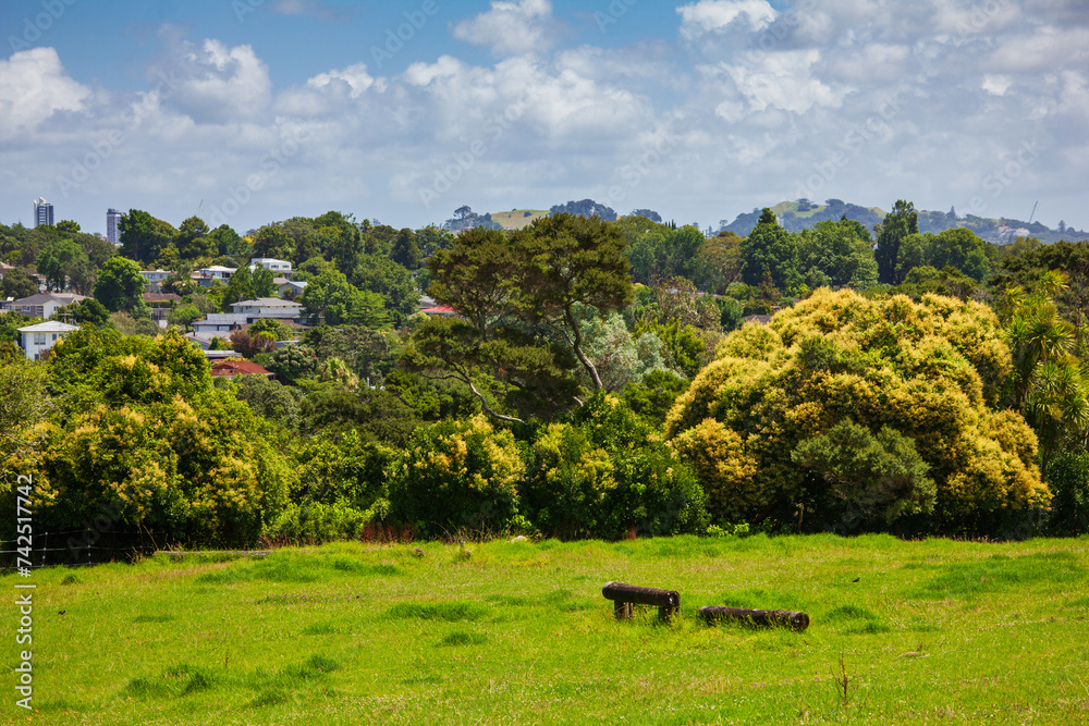 Landscape of an summer green field rolling down the hill toward a row ...