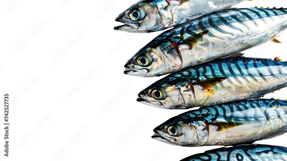 Fresh raw mackerel fish isolated on transparent and white background ...