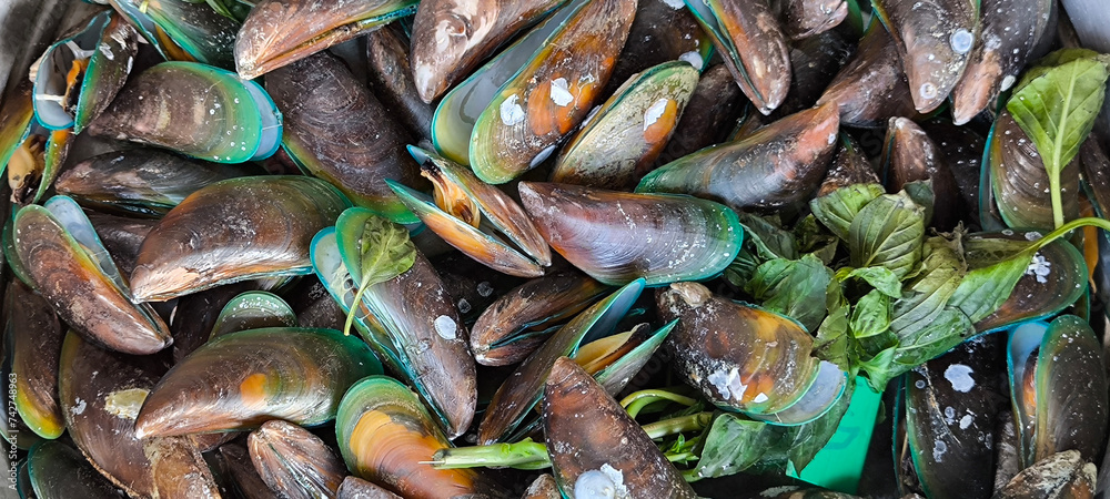 Frozen mussel in the shell. Freshly-frozen mussels in shells . The ...