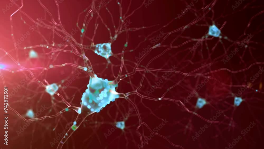Animation of neuron cells with glowing links. Nerve cells Activity in ...
