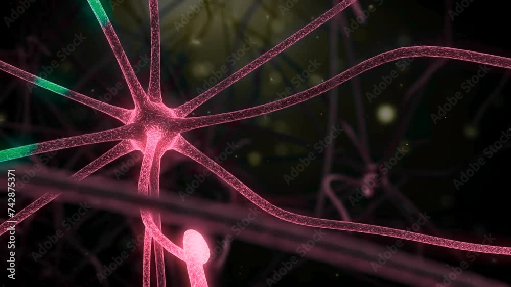 Stockvideon Animation of neuron cells with glowing links. Nerve cells ...