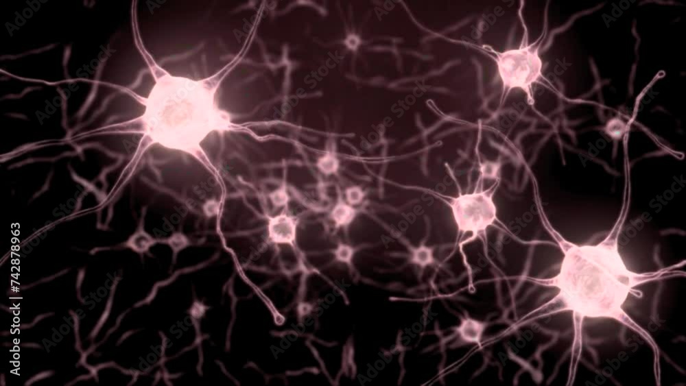 Animation of neuron cells with glowing links. Nerve cells Activity in ...