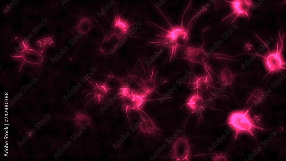 Animation of neuron cells with glowing links. Nerve cells Activity in ...