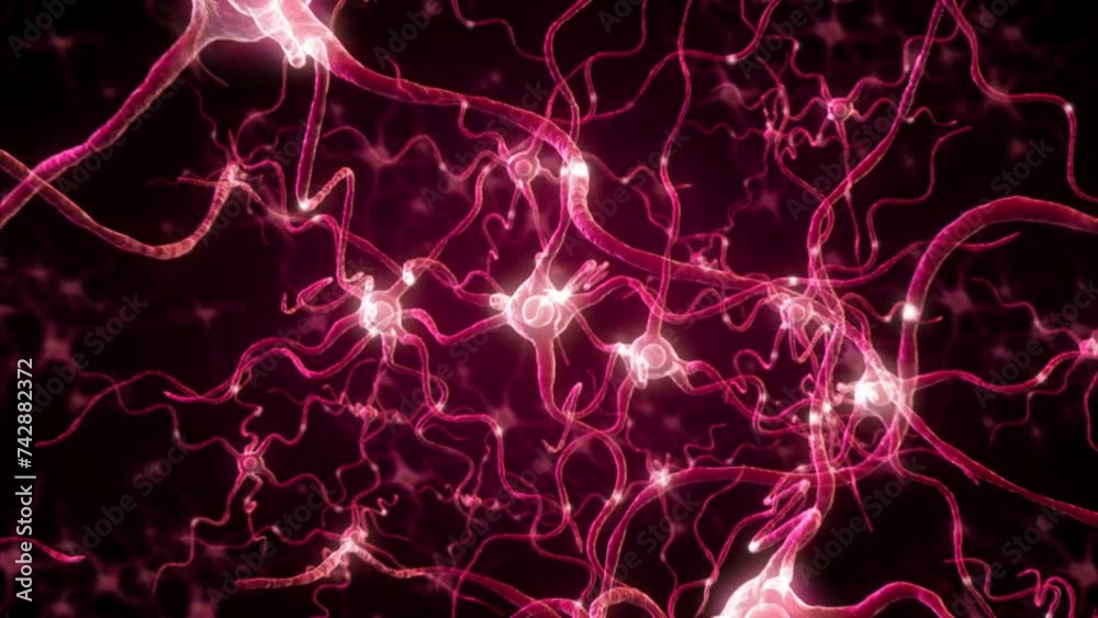 Animation of neuron cells with glowing links. Nerve cells Activity in ...