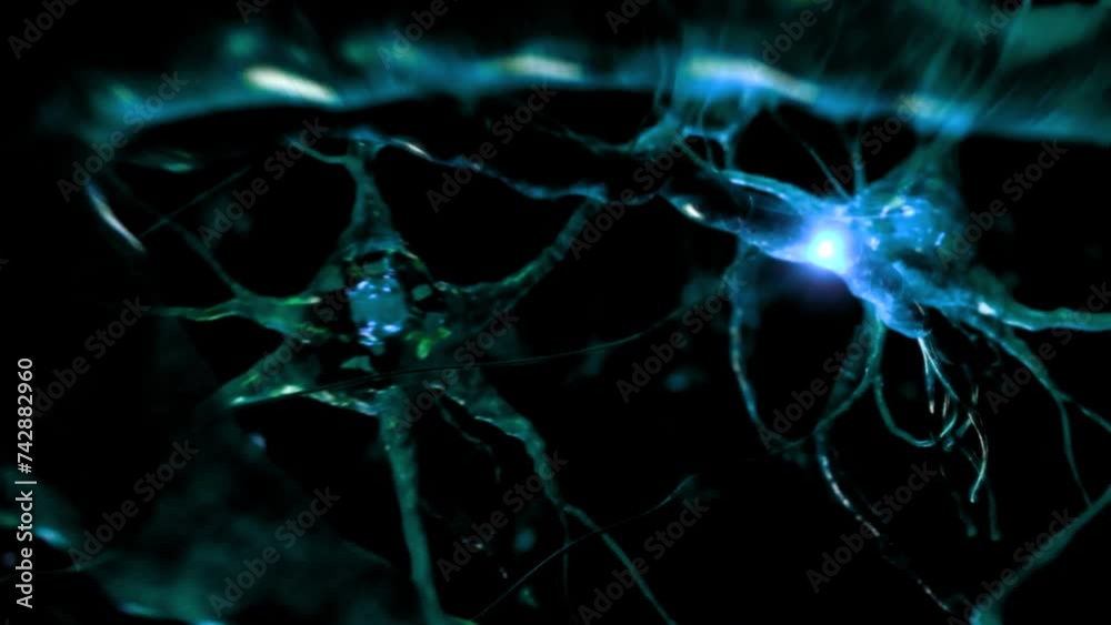 Animation of neuron cells with glowing links. Nerve cells Activity in ...
