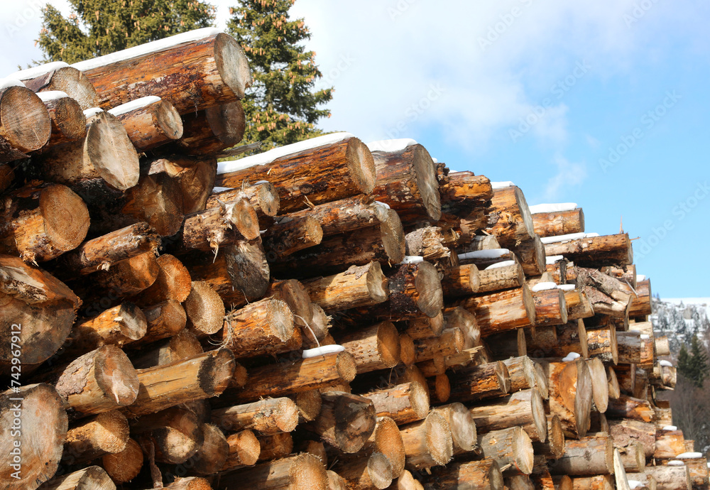 cut logs stacked in a high pile with snow on top ready to be sawn and ...