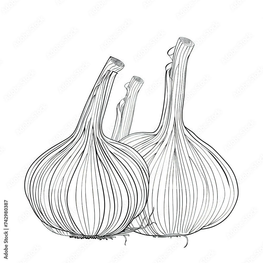 Minimalistic Garlic Line Art Vector SVG Coloring Stock Illustration ...