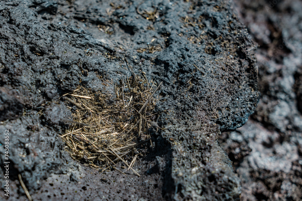 Pele's hair is a volcanic glass formation produced from cooled lava ...