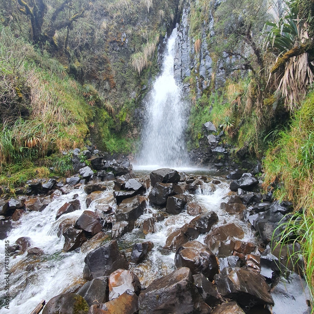 Cascada natura, río, afluente, naturaleza, rocas, vegetación ...