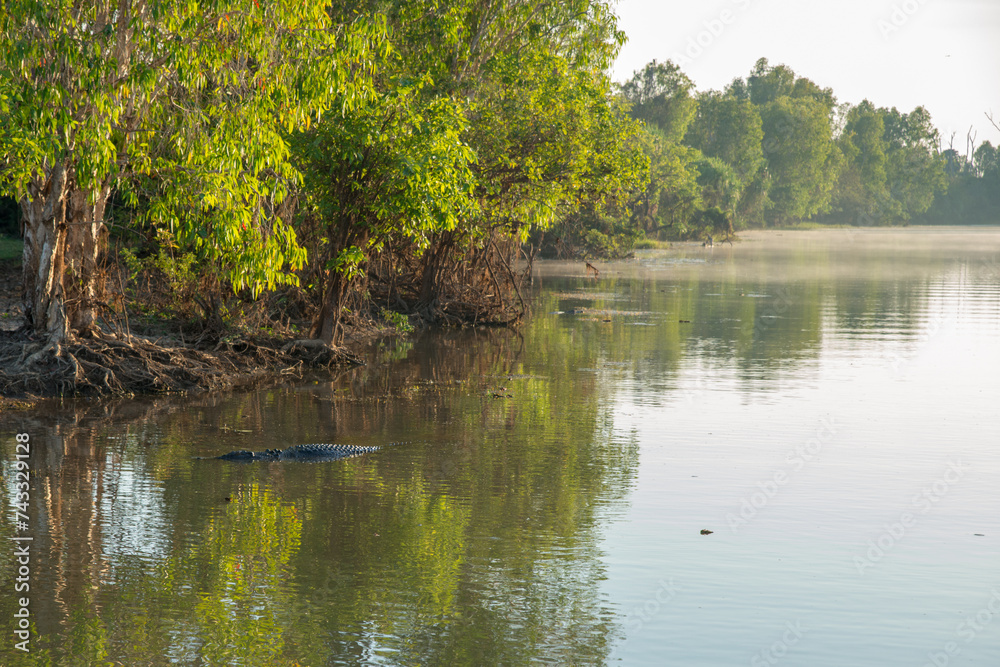 crocodile infested wetland in the Northern Territory of Australia ...
