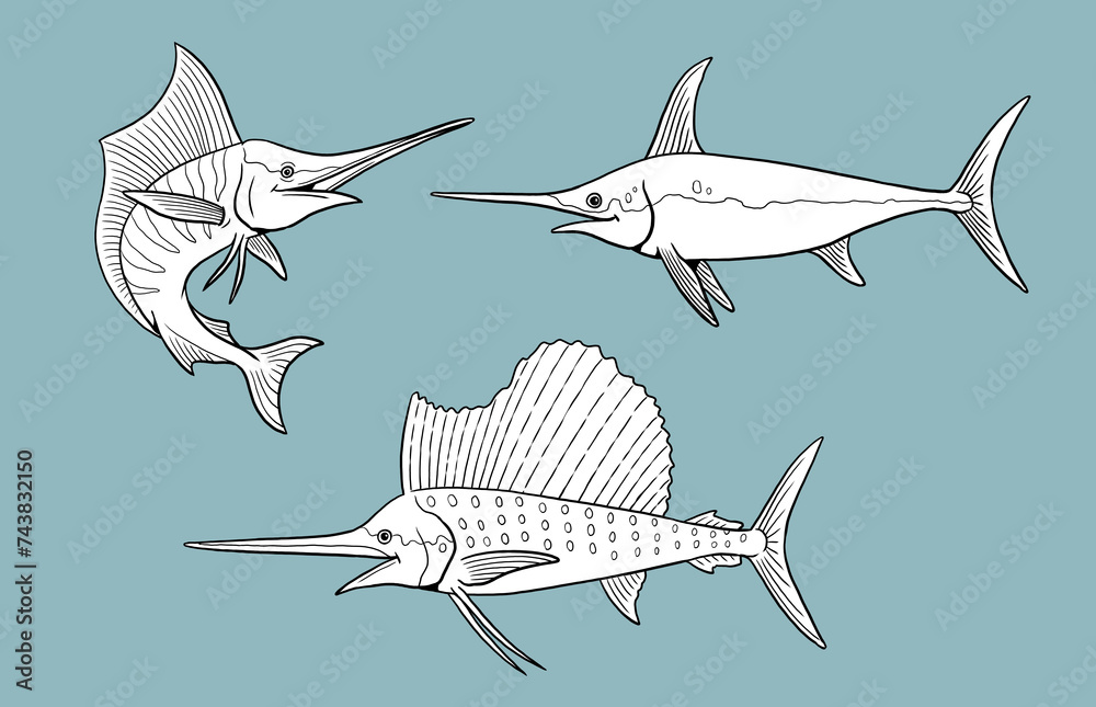 Set of different swordfish to color in. Template for a coloring book ...