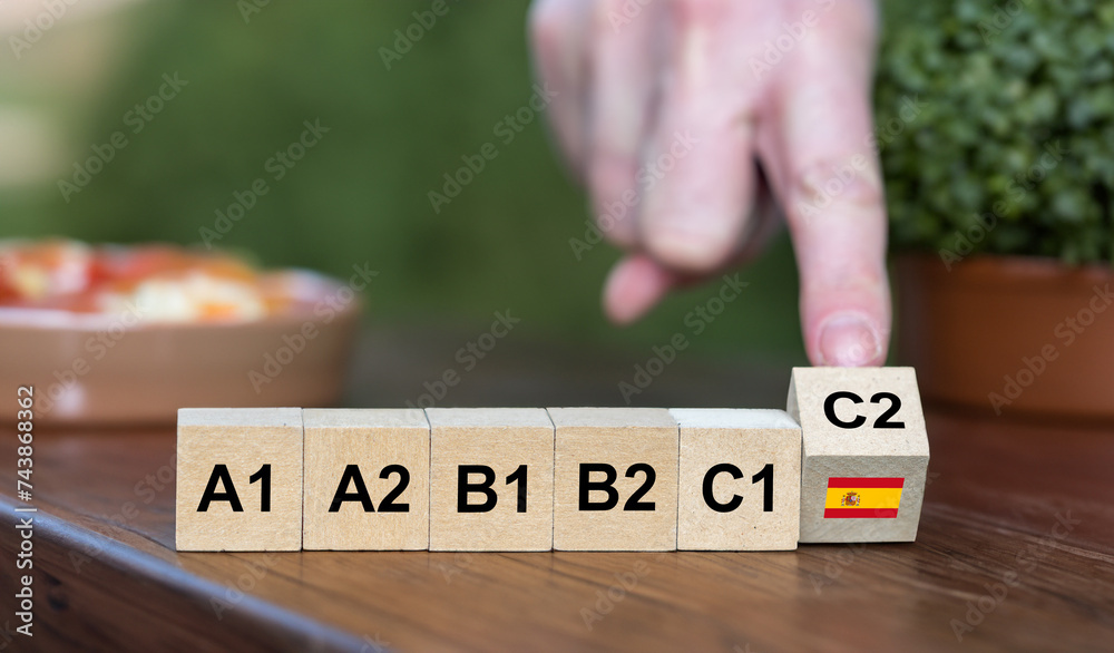 Symbol for learning the Spanish language. Wooden cubes show the skill ...