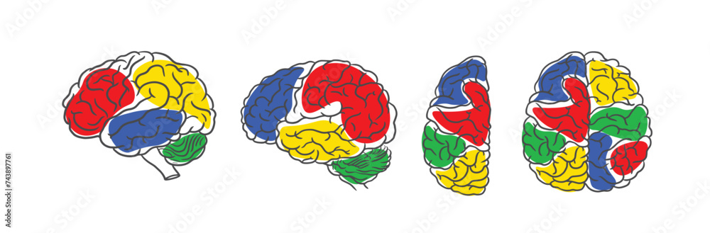 Hand drawn human brain vector, mental heath clip art, autism brain ...