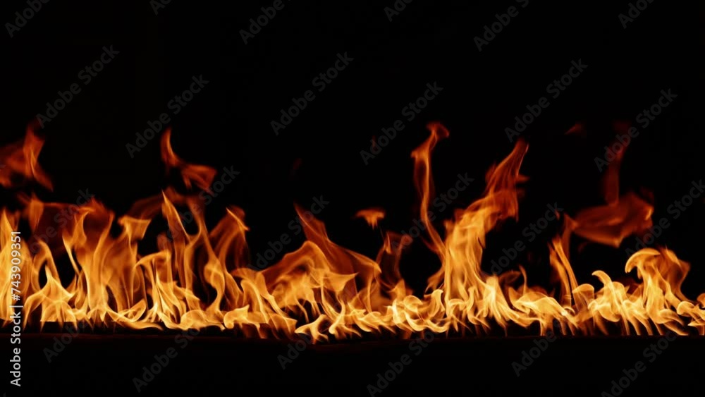 Fire burning. A bright burning flames on a black background. Fire in ...
