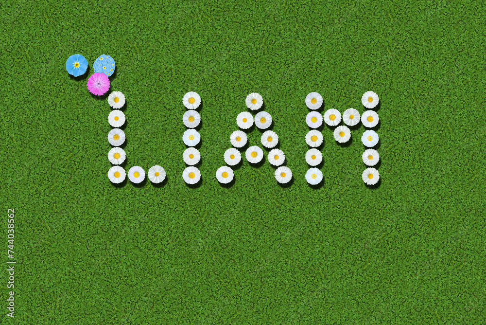 the ten most popular first names for boys in the US and UK Stock ...