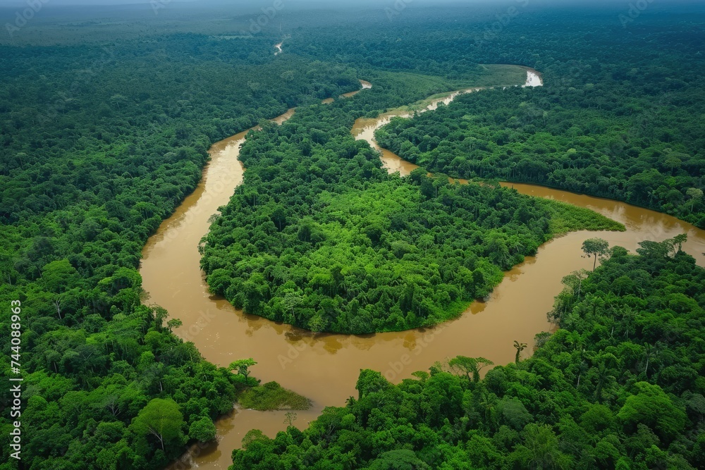 A river flows calmly amidst the dense greenery of a vibrant forest ...
