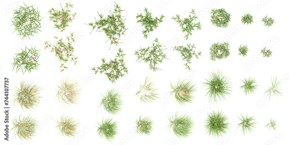 Collection of grass and bush with alpha mask, 3d rendering, for digital ...