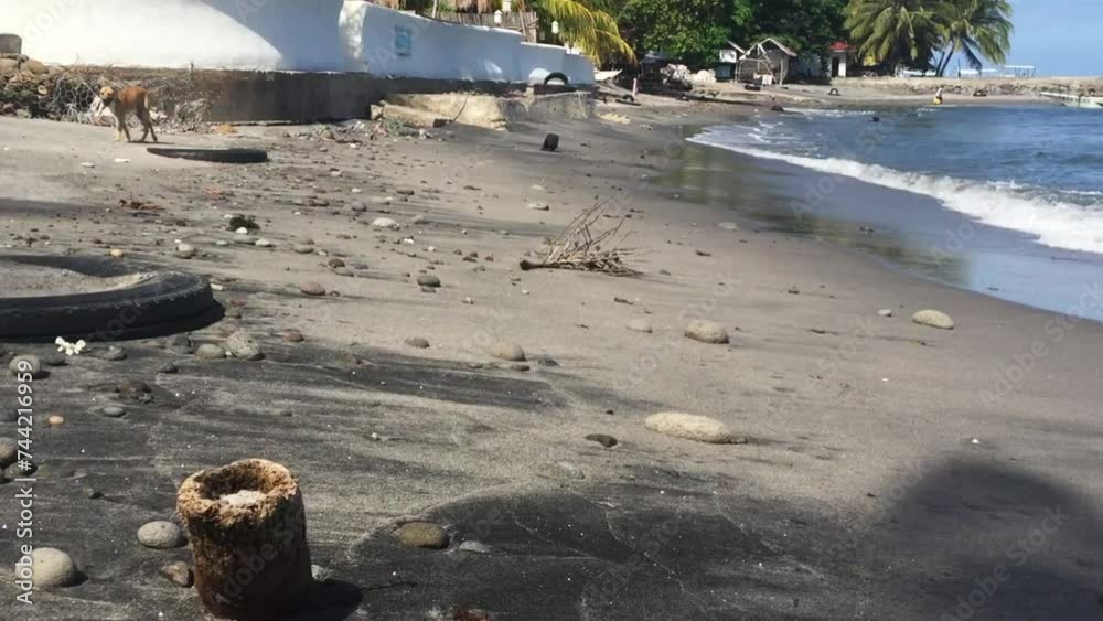 A stray dog walks on the beach in Malatapay Philippines. A huge white ...