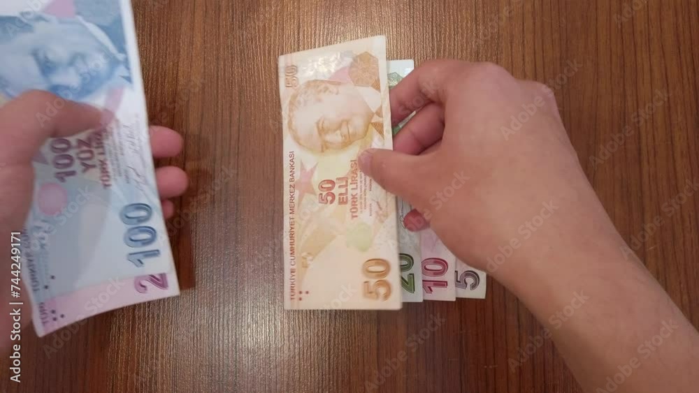 Vidéo Stock A teenager sorting each banknote of Turkish lira by value ... Vidéo Stock A teenager sorting each banknote of Turkish lira by value ...