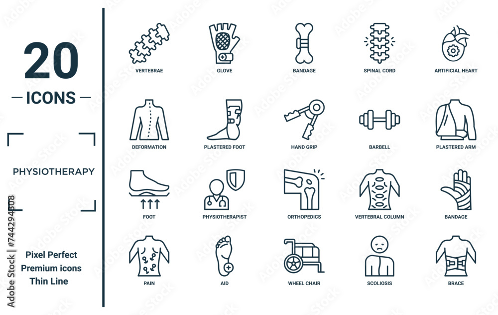 physiotherapy linear icon set. includes thin line vertebrae ...