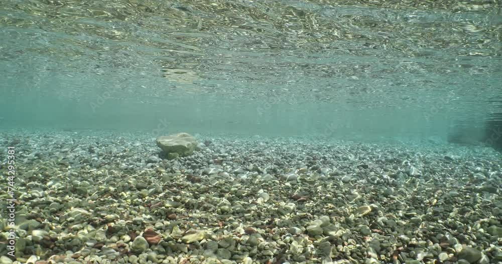 underwater scenery clean shallow water sun reflection on stones some ...