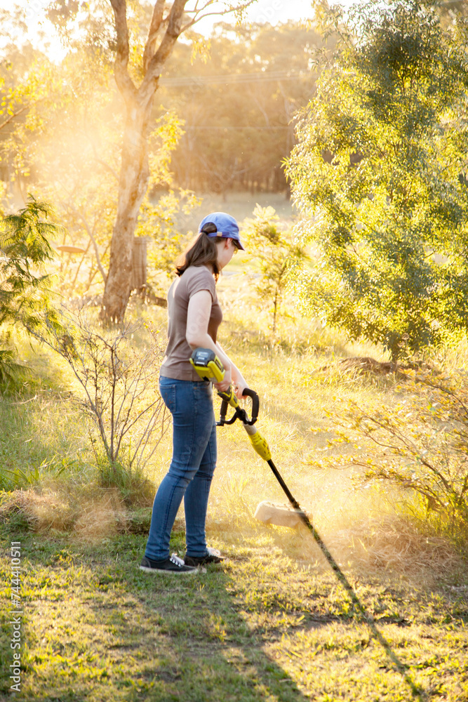 Teen girl cutting grass with whipper snipper in golden afternoon light ...