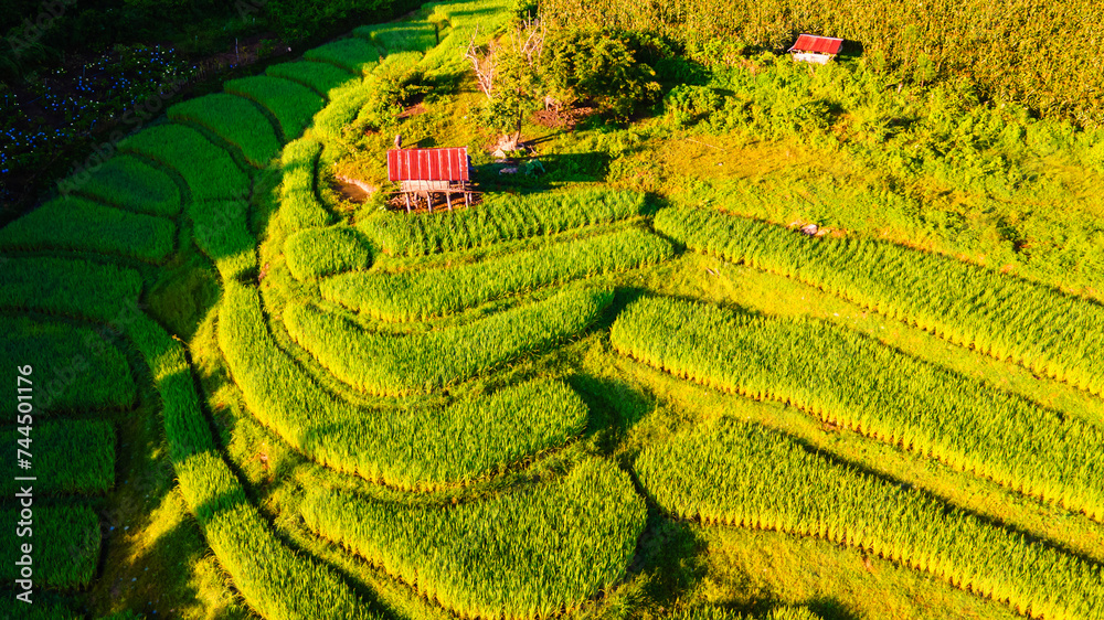 top view at the green Terraced Rice Field in Chiangmai Thailand, Pa ...