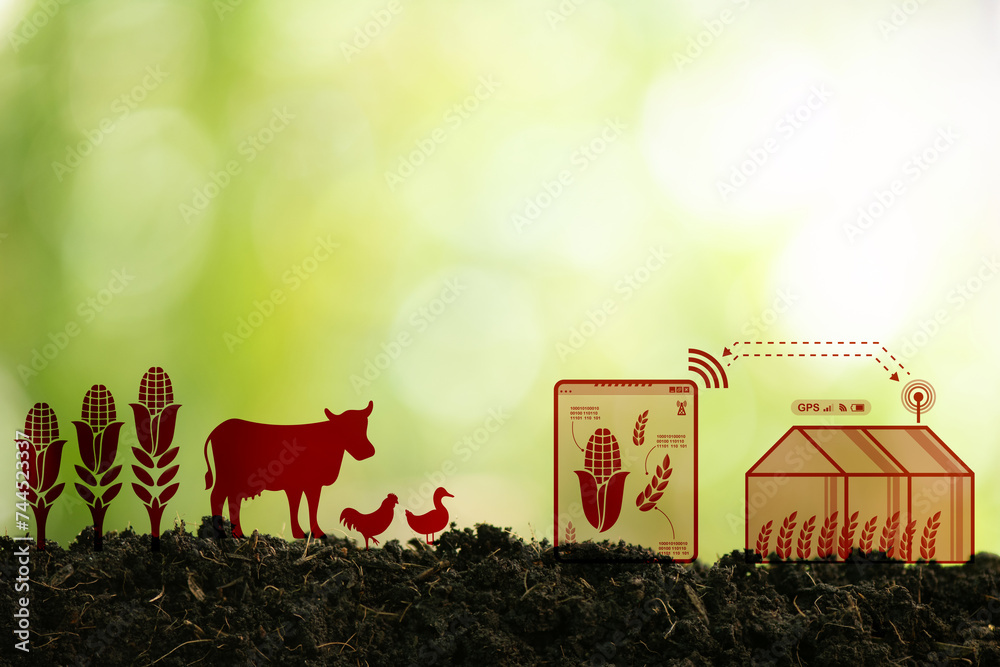 Biomass Energy is the production of energy with biomass materials and ...