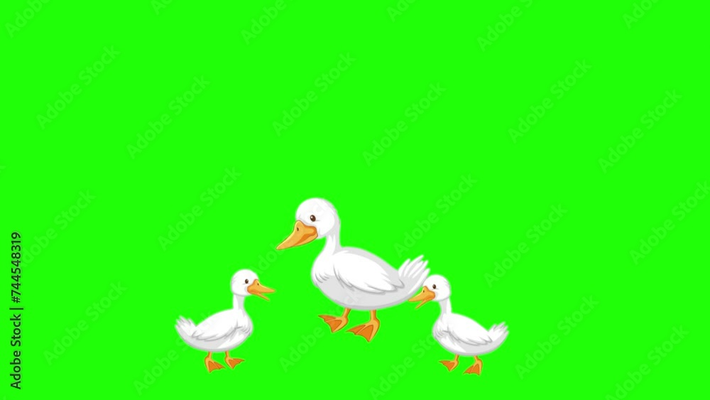 a flock of ducks animation, sketchy illustration style. Animated cute ...
