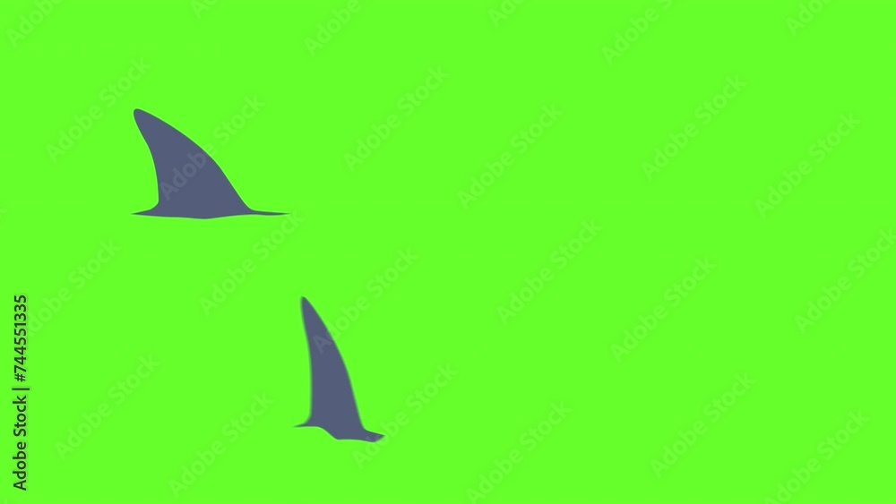 Animation of a school of chasing sharks on a green screen. Animation of ...