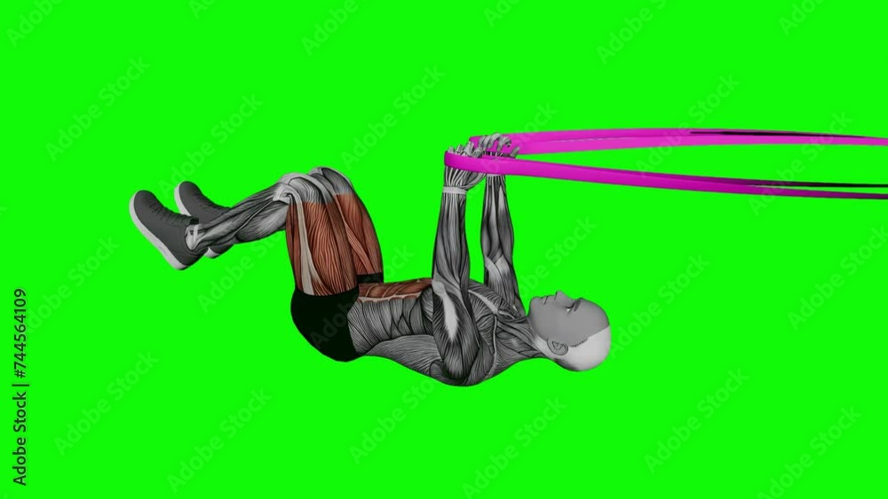 Vidéo Stock 3D illustration animation of a male doing the Resistance ...