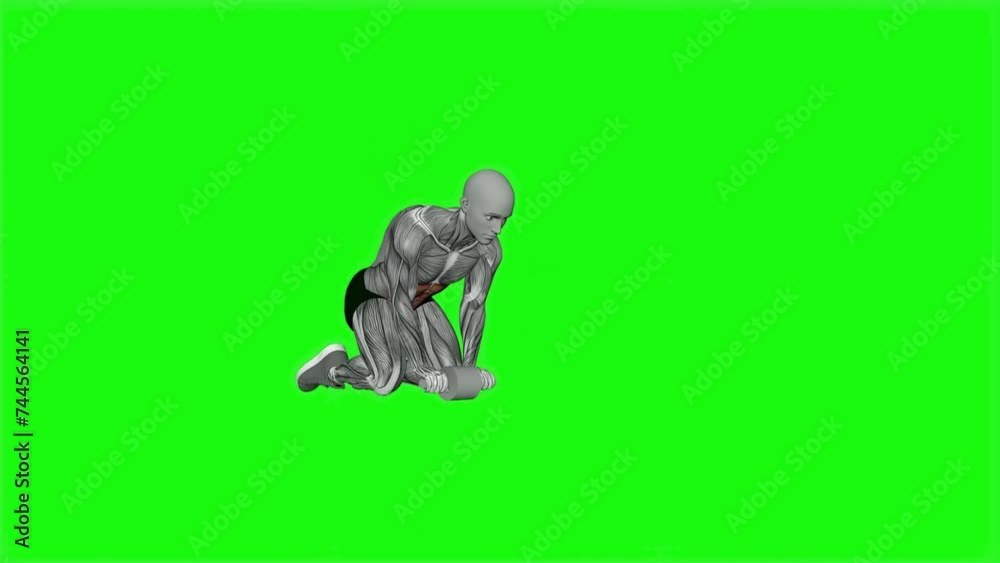 Vidéo Stock 3D illustration of a male doing the Ab Wheel Halfway Out ...