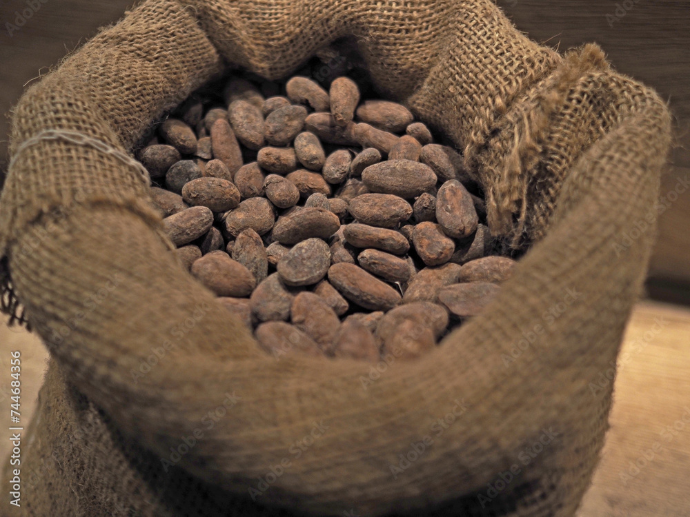 Kako beans, cocoa beans in a bag. Stock Photo | Adobe Stock