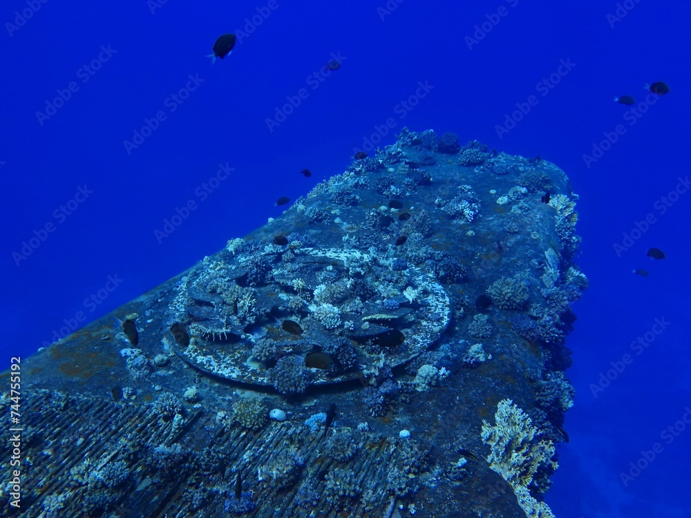 Part of the rusty shipwreck - funnel underwater. Scuba diving on the ...