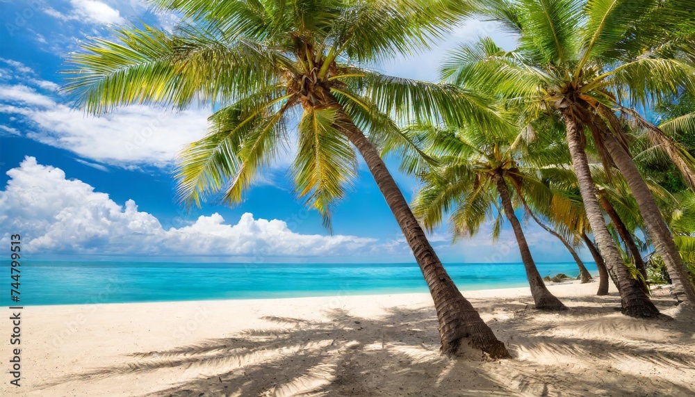 beach with palm trees isolated on transparent background cutout Stock ...