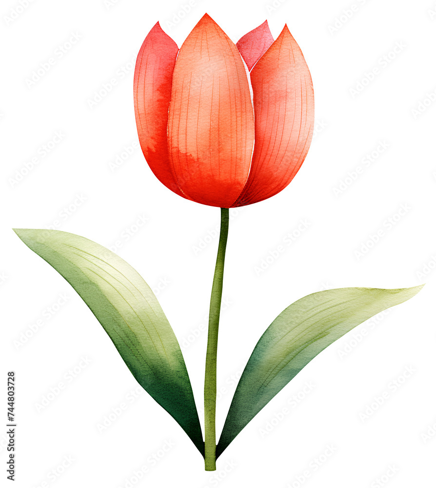 Watercolor illustration of a cute cartoon red flower. Transparent ...