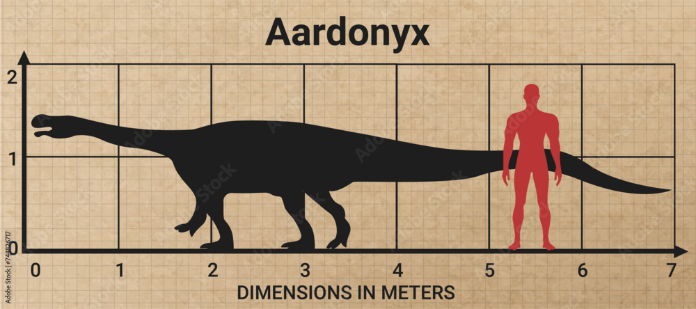 Comparing the size of Aardonyx to the average adult human male (1.8 ...
