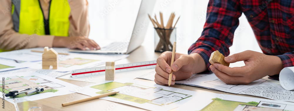 Professional architect and engineer collaborate to design eco-friendly ...